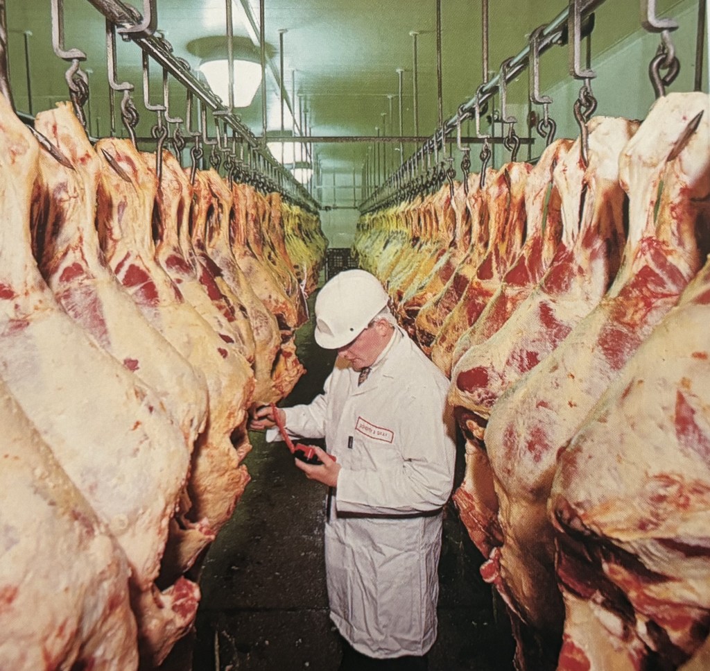 About Us – Doherty and Gray Ltd.