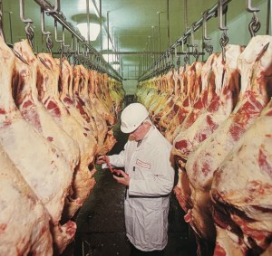 About Us – Doherty and Gray Ltd.