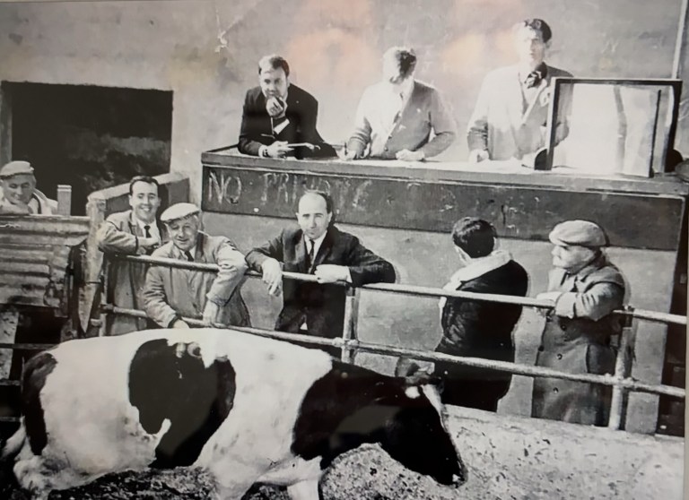 About Us – Doherty and Gray Ltd.